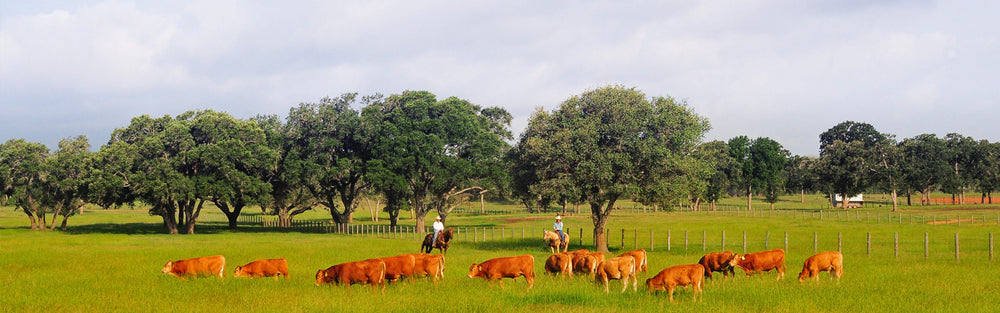 Texas Craft Steaks - The best beef in Texas, delivered to your door.